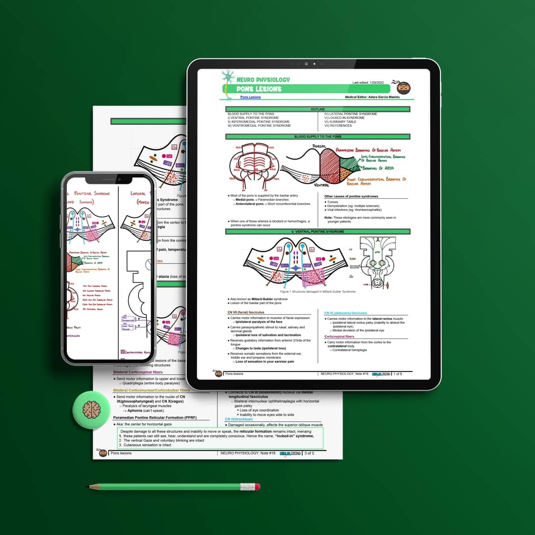 Pons Lesions - Notes - NinjaNerd Medicine